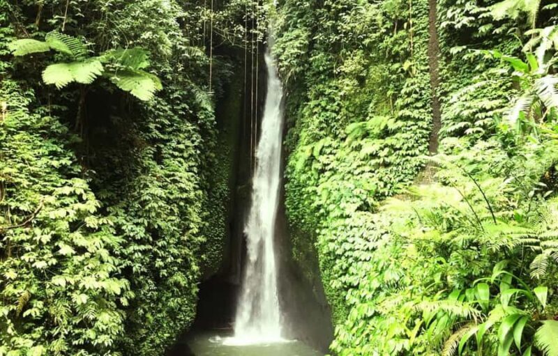 Buleleng Hidden Gems: Waterfall Tour - A Deep Dive into the Bali Waterfall Experience