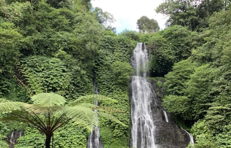 Buleleng Hidden Gems: Waterfall Tour - Who Should Consider This Tour?