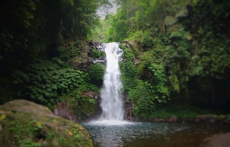 Buleleng Hidden Gems: Waterfall Tour - The Sum Up