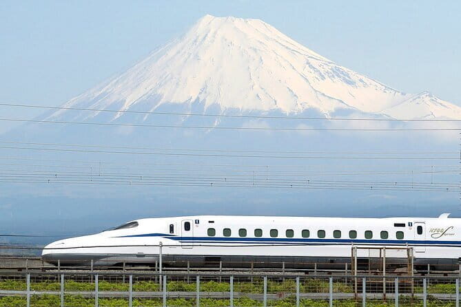 Bullet Train Experience & Mishima Shrine Private Tour from Tokyo - A Practical and Authentic Slice of Japan: The Bullet Train & Mishima Shrine Private Tour