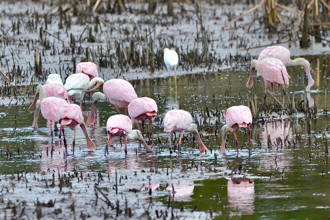Bulls Island Ferry Adventure - An In-Depth Look at the Bulls Island Ferry Adventure