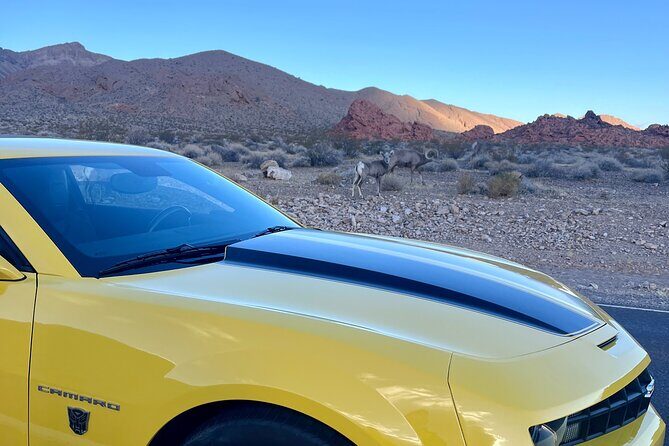 Bumblebee Camaro Tour: Transformers Movie Locations - The Sum Up