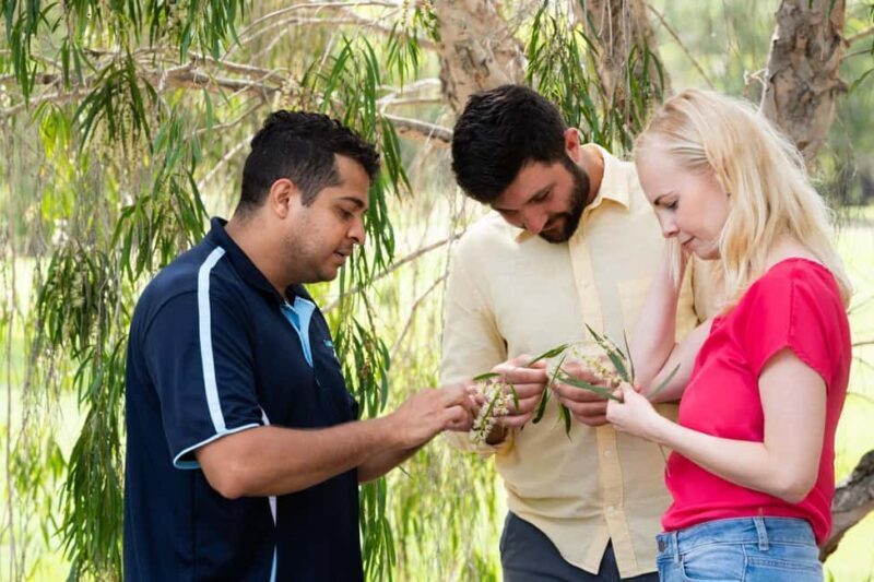 Bundaberg: Half Day Indigenous Experience with Morning Tea - The Experience for Different Travelers