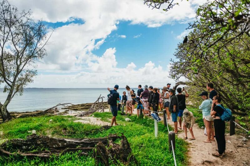 Bundaberg: Lady Musgrave Island and Great Barrier Reef Tour - An In-depth Look at the Tour Experience