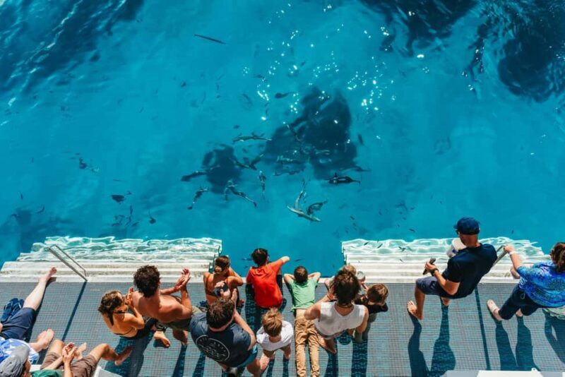 Bundaberg: Lady Musgrave Island and Great Barrier Reef Tour - What the Reviews Say