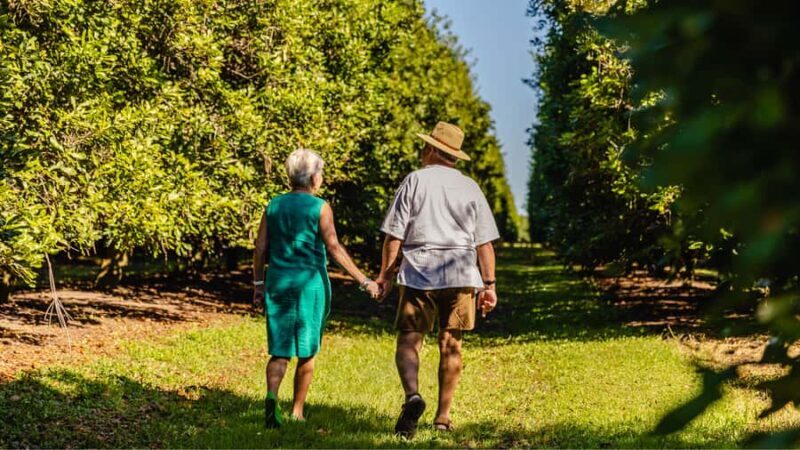 Bundaberg: Macadamia Orchard Tour - An Honest Look at the Bundaberg Macadamia Orchard Tour