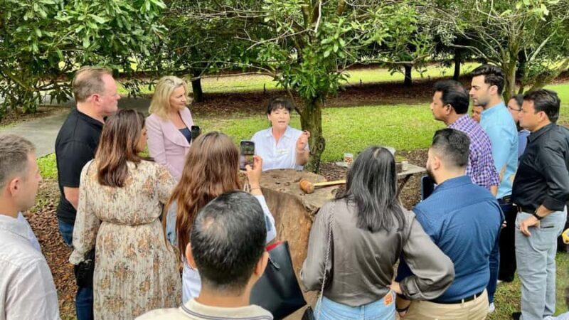 Bundaberg: Macadamia Orchard Tour - The Experience for Different Types of Travelers