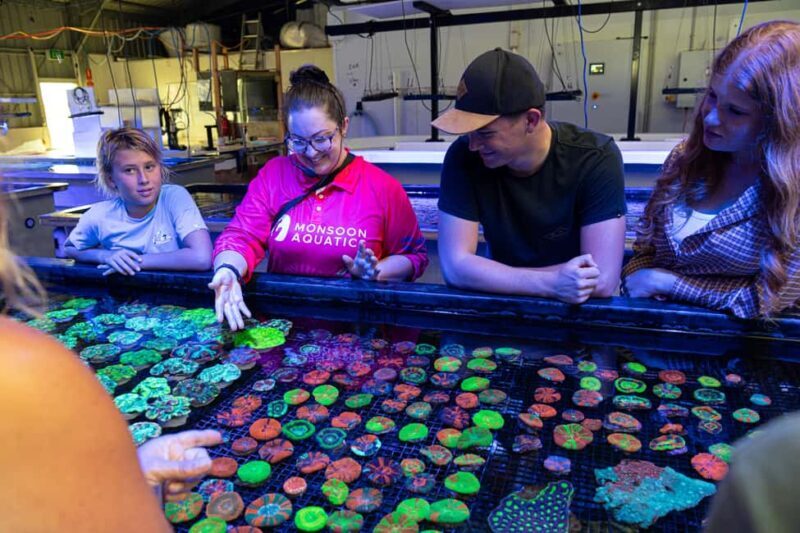 Bundaberg: Monsoon Aquatics Coral Farm Guided Tour - Final Thoughts