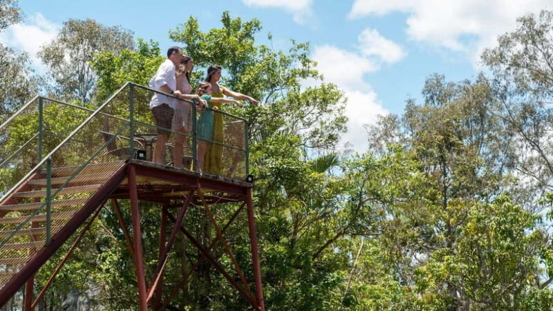 Bundaberg: Mystery Craters Tour & Sensory Earth Experience - Key Points