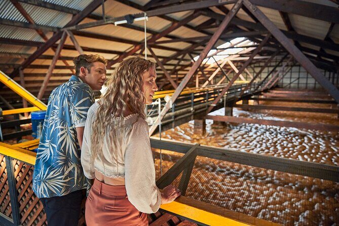 Bundaberg Rum Behind The Scenes Distillery Tour And Museum Experience - Tasting the Spirit: Generous and Varied