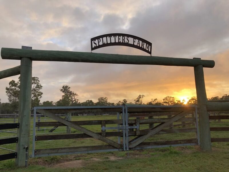 Bundaberg: Splitters Farm Guided Tour - A Genuine, Heartfelt Animal Encounter