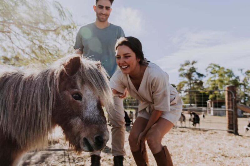 Bundaberg: Splitters Farm Guided Tour - Who Should Consider This Tour?