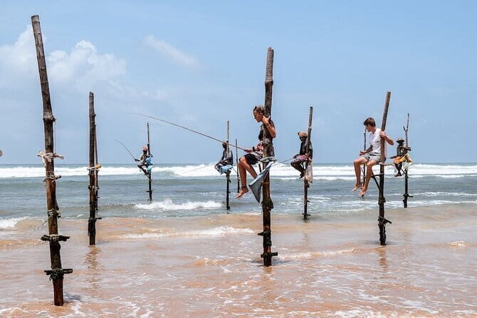 Bundala National Park All Inclusive Safari Tour from Hambantota - The Sum Up: Is It Worth It?