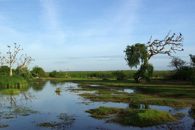 Bundala National Park by Ajith Safari - Key Points