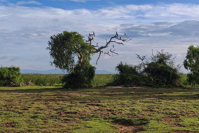 Bundala National Park Private Safari - Final thoughts: Is it worth it?