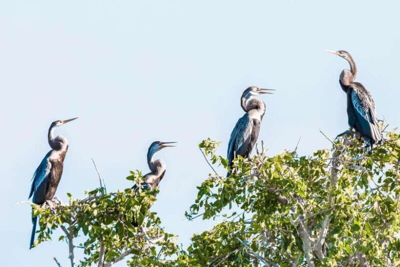 Bundala National Park Private Safari from Tangalle - Pricing and Value