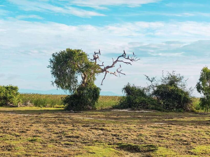 Bundala National Park Private Safari from Tangalle - Who Will Love This Tour?