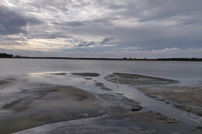 Bundala National Park Private Safari with Naturalist - An Overview of What You’ll Experience at Bundala