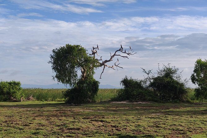 Bundala National Park Private Safari with Naturalist - Itinerary and Highlights: What Makes Each Part Special