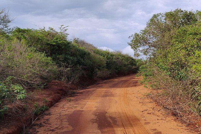 Bundala National Park Private Safari with Naturalist - Who Will Love This Experience?