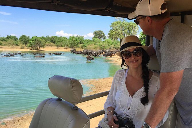 Bundala National Park Safari - Discovering the Wild Side of Sri Lanka: A Detailed Look at the Bundala National Park Safari