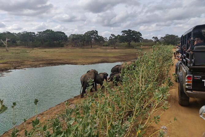 Bundala National Park Safari from Hikkaduwa - Starting off in Hikkaduwa