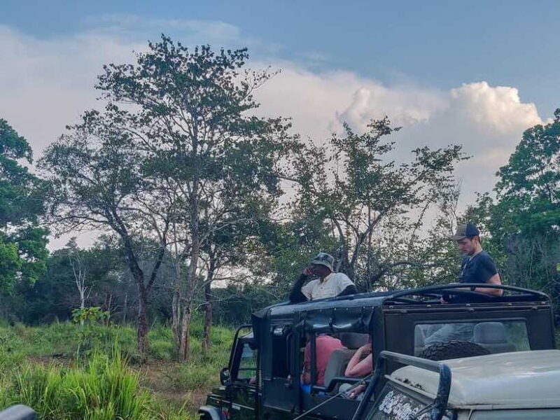 Bundala National Park Safari from Hikkaduwa - FAQs