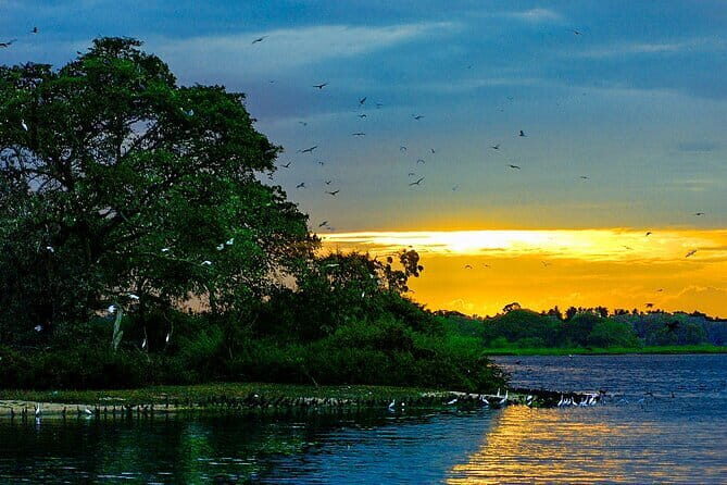 Bundala National Park Safari from Mirissa - Who Will Love This Tour?