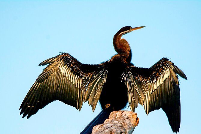 Bundala National Park Safari from Tangalle - FAQ: Your Practical Questions Answered