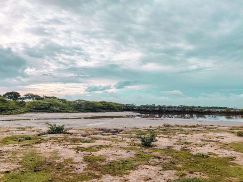 Bundala National Park Safari from Weligama - Key Points