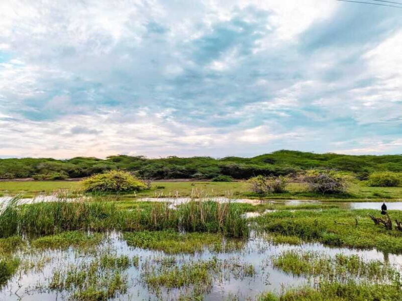 Bundala National Park Safari from Weligama - FAQ