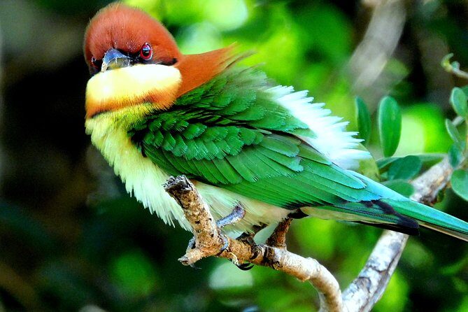 Bundala National Park Safari (PRIVATE TOURS)- Morning & Afternoon - The Itinerary – From Waterways to Wildlife