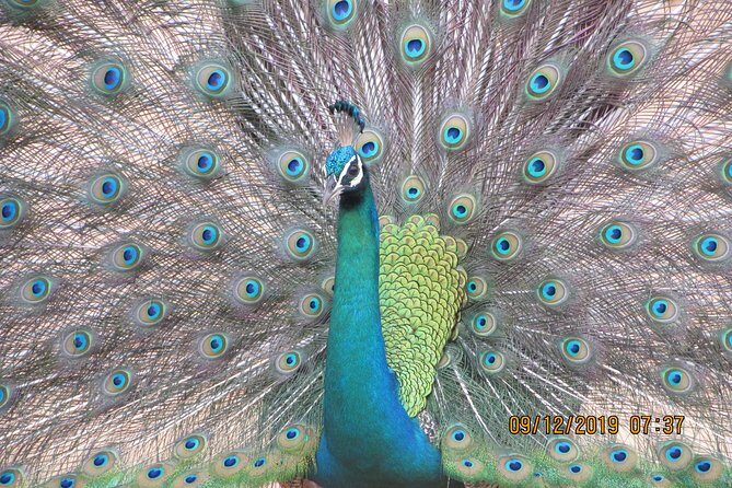 Bundala National Park Safari (PRIVATE TOURS)- Morning & Afternoon - The Landscape & Park Environment