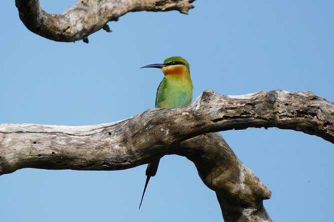 Bundala National Park Safari (PRIVATE TOURS)- Morning & Afternoon - Who Will Love This Tour?