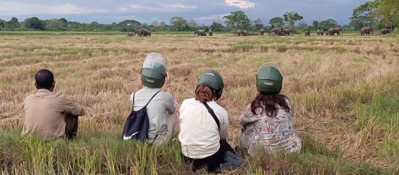 Bundala village tour with Local Guide - Key Points