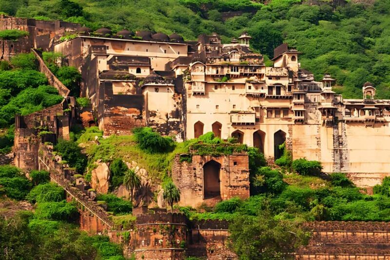 Bundi: Ramgarh Vishdhari Tiger Reserve Jeep Safari Ticket - Who Should Consider This Safari?