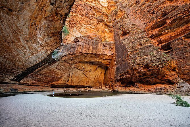 Bungle Bungle Scenic Flights, Domes & Cathedral Gorge Walk - An In-Depth Look at the Tour Experience