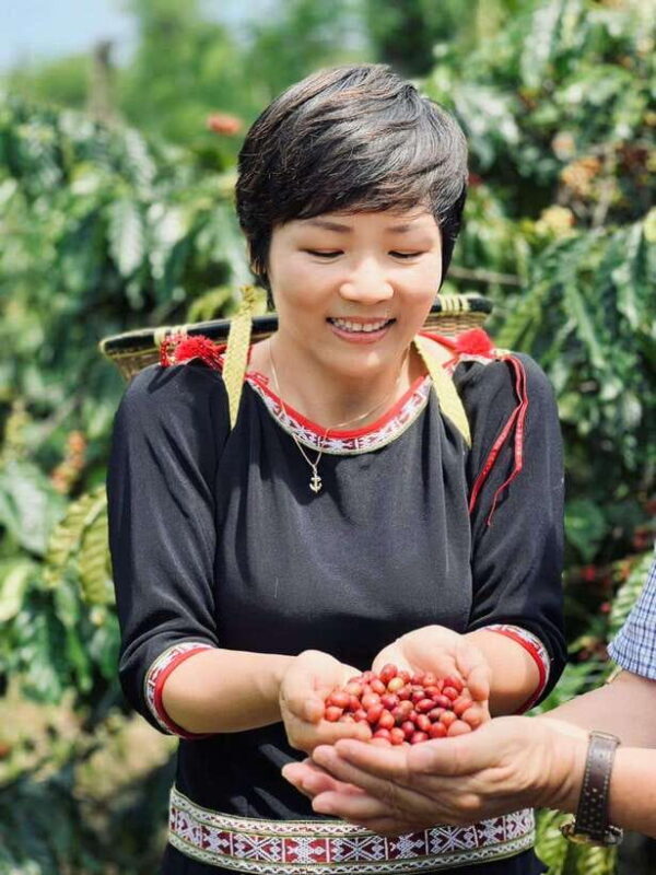 Buon Ma Thuot: Authentic Coffee Farm Experience with Lunch - Who Will Love This Tour?