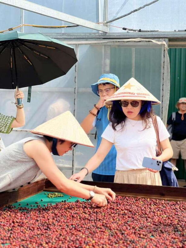 Buon Ma Thuot: Authentic Coffee Farm Experience with Lunch - FAQ