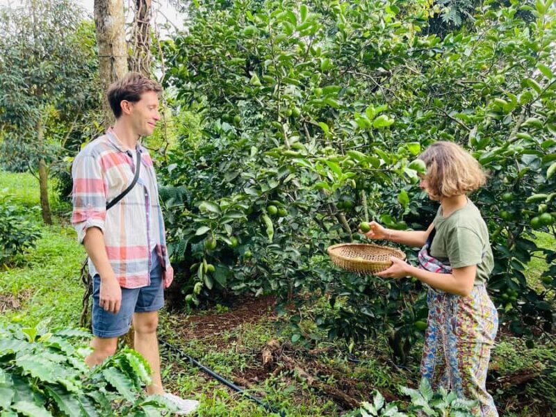 Buon Ma Thuot: Coffee Farm Tour (Bean to Brew) with Pickup - Authentic Coffee Experience in Buon Ma Thuot — From Bean to Brew