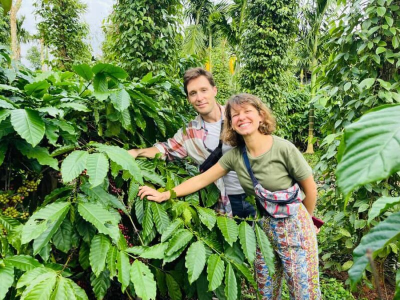 Buon Ma Thuot: Coffee Farm Tour (Bean to Brew) with Pickup - The Full Breakdown: Why This Tour Matters