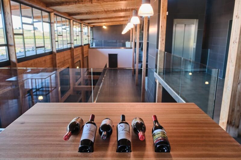 Burgos: Bela Winery - Villalba de Duero - The Bela Winery Experience: What to Expect