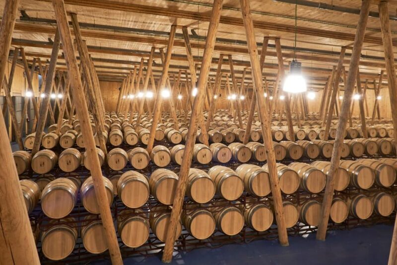 Burgos: Bela Winery - Villalba de Duero - Authenticity and Practical Details