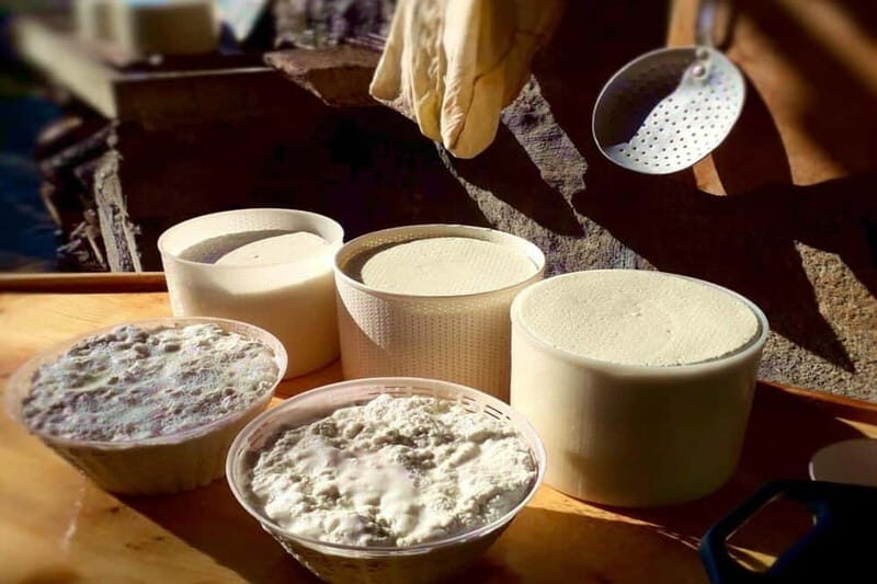 Burgos: Sardinian Pecorino Cheese Workshop - Burgos: Sardinian Pecorino Cheese Workshop – A Tasty Dive Into Local Tradition