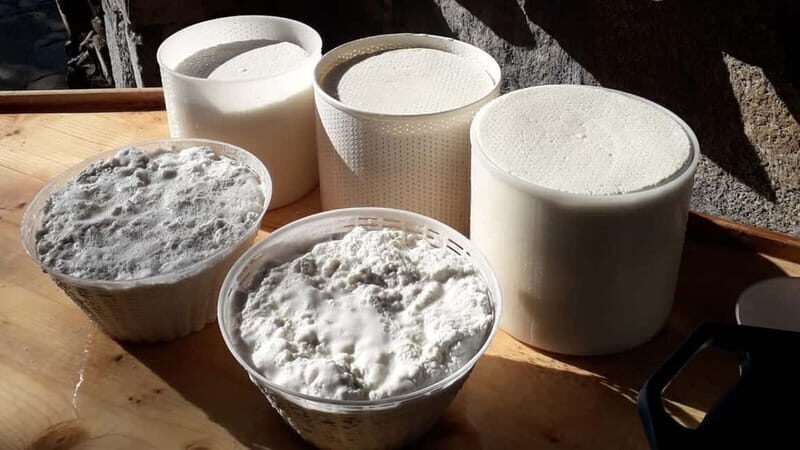 Burgos: Sardinian pecorino cheese workshop - A Deep Dive into the Sardinian Cheese Experience