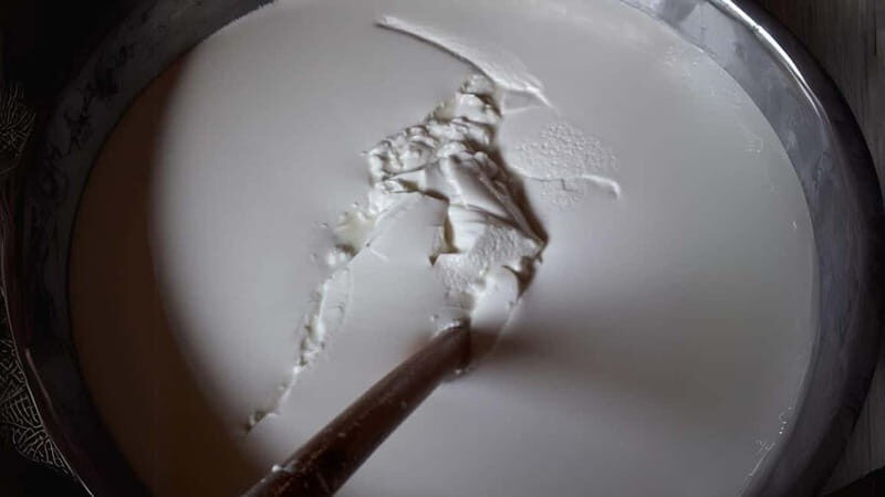Burgos: Sardinian pecorino cheese workshop - Final Thoughts