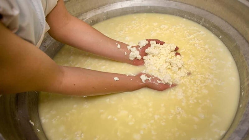 Burgos: Sardinian pecorino cheese workshop - FAQ