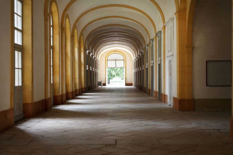 Burgundy: Cluny Abbey Entrance Ticket - Authentic Experience and Cultural Significance