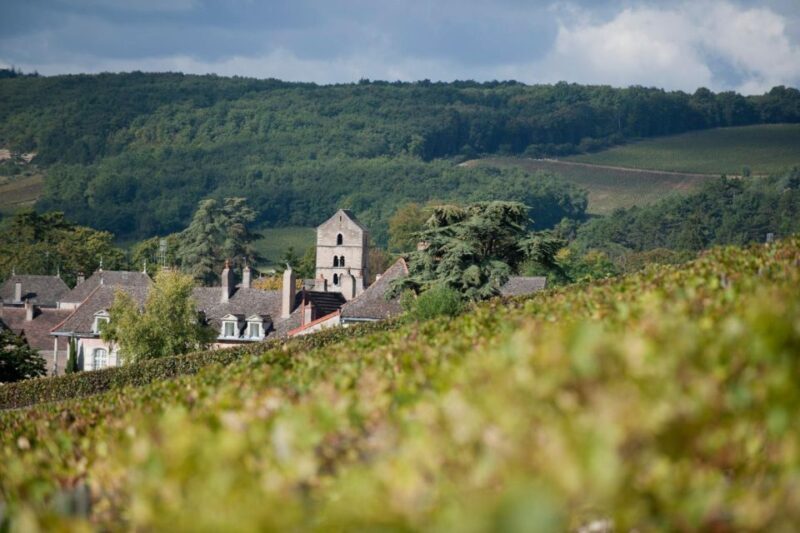 Burgundy: Guided Vineyard and Winery Tour with Wine Tasting - Key Points