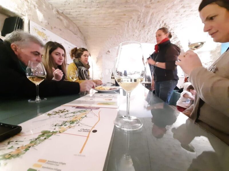 Burgundy: Guided Vineyard and Winery Tour with Wine Tasting - What Makes This Tour Stand Out?